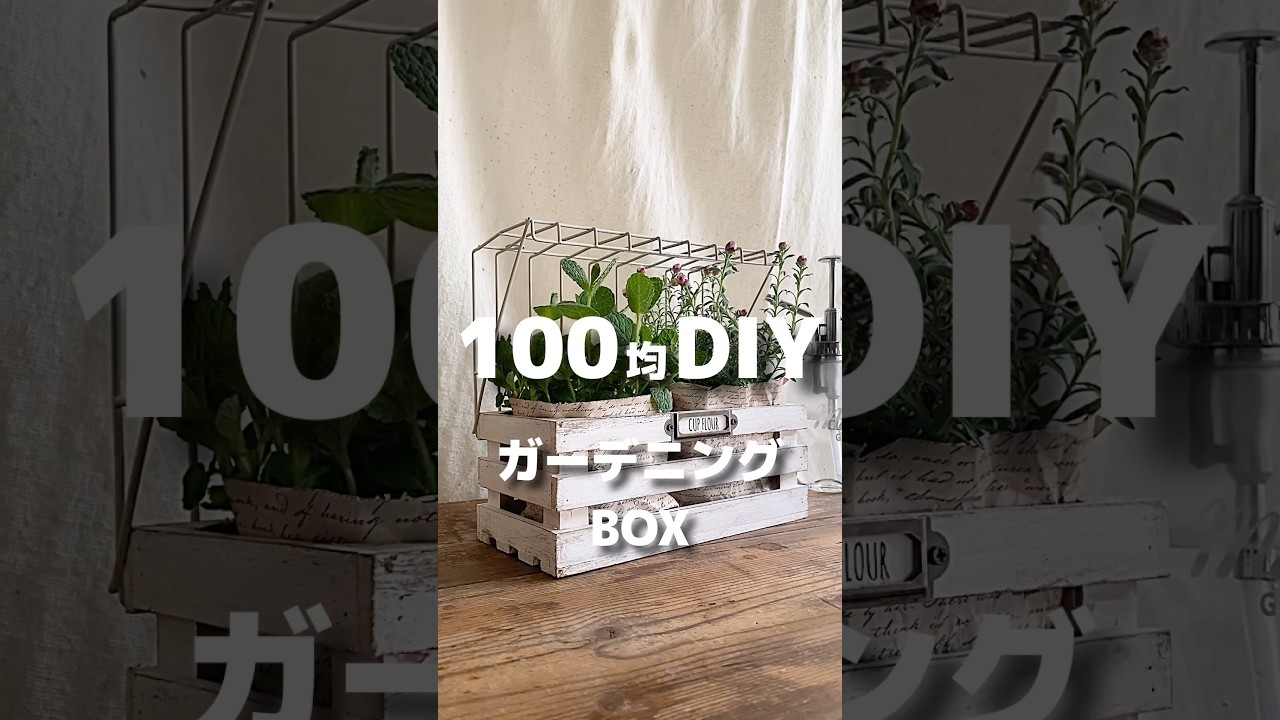 【100均DIY】ガーデニングBOX #shorts #100均 #100均diy #セリア#ガーデニング – みわごんち | セリア100均アイテム